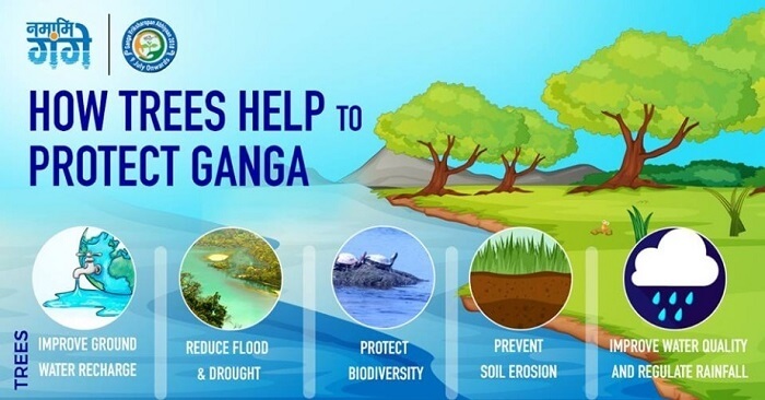 namami-gange-trees-protect-holy-river - EnterHindi
