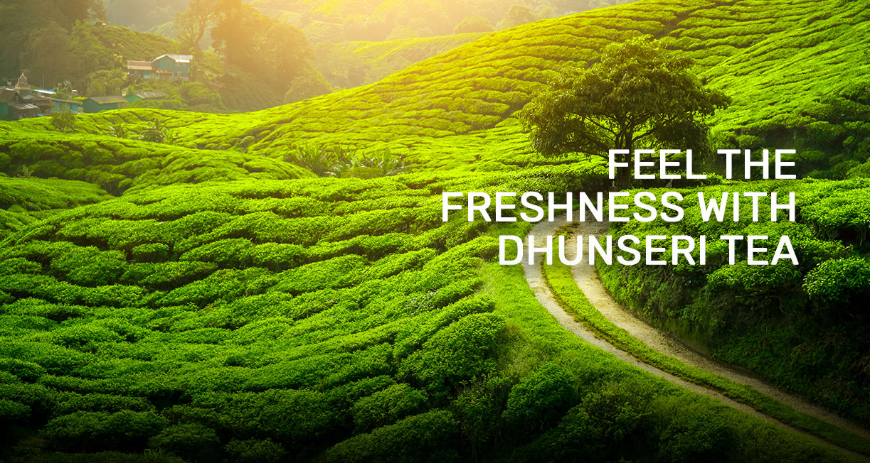 dhanushri - EnterHindi