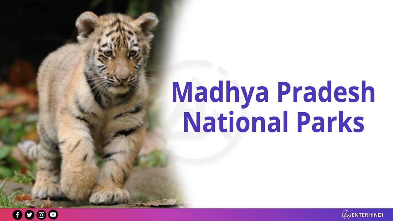 National Parks in Madhya Pradesh List - मध्य प्रदेश में कितने नेशनल ...